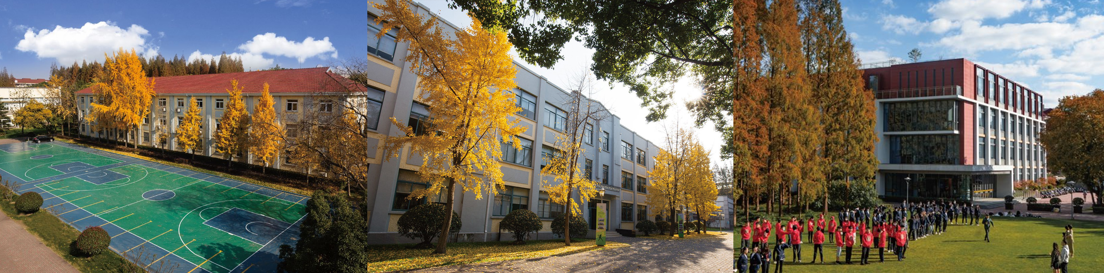 School Overview-Shanghai High School